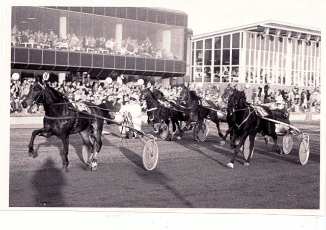 Archief van de Ned. Draf- en Rensport