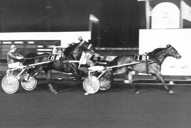 Archief van de Ned. Draf- en Rensport