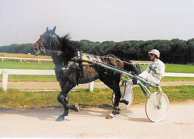 Archief van de Ned. Draf- en Rensport