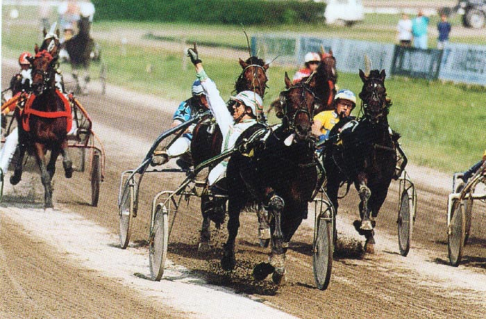 Archief van de Ned. Draf- en Rensport