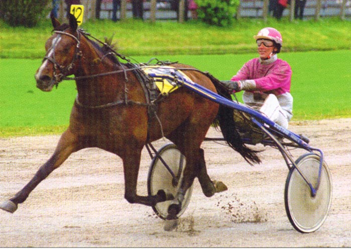 Archief van de Ned. Draf- en Rensport