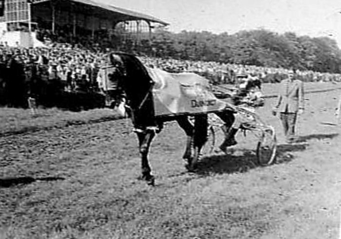 Archief van de Ned. Draf- en Rensport