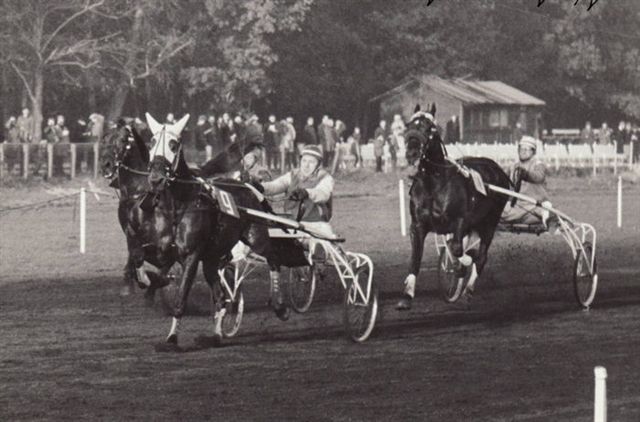 Archief van de Ned. Draf- en Rensport