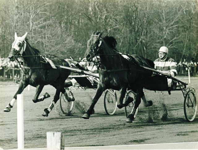 Archief van de Ned. Draf- en Rensport