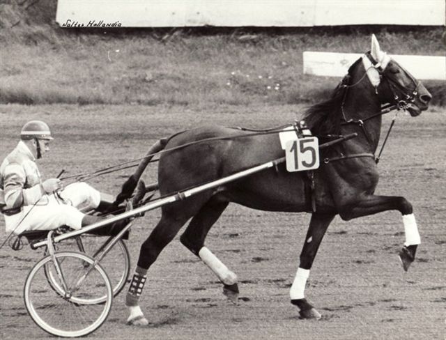 Archief van de Ned. Draf- en Rensport