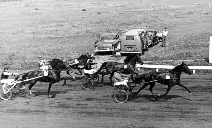 Archief van de Ned. Draf- en Rensport