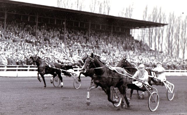 Archief van de Ned. Draf- en Rensport