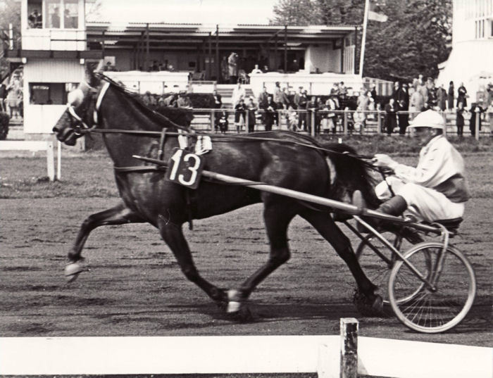 Archief van de Ned. Draf- en Rensport