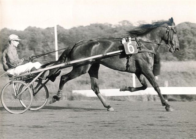 Archief van de Ned. Draf- en Rensport