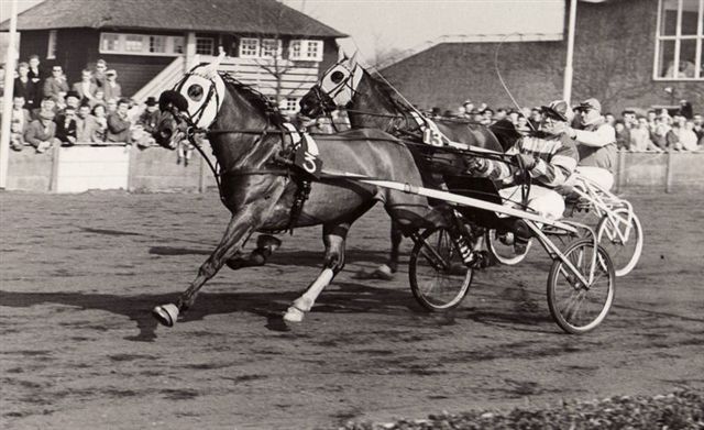 Archief van de Ned. Draf- en Rensport