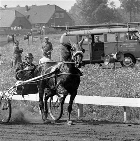 Archief van de Ned. Draf- en Rensport