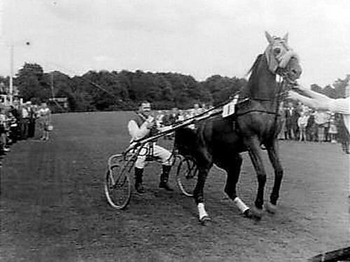 Archief van de Ned. Draf- en Rensport