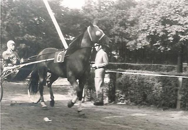 Archief van de Ned. Draf- en Rensport