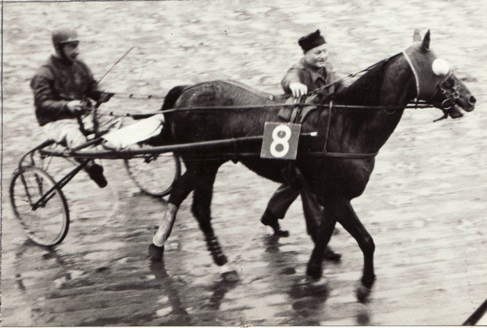 Archief van de Ned. Draf- en Rensport